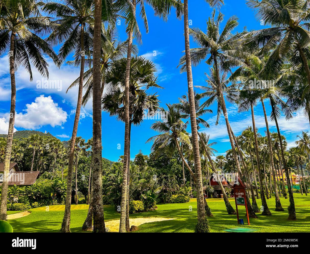 Kata Yai Beach, Phuket, Thailand, Beach Scenes, Exotic Palm Trees ...