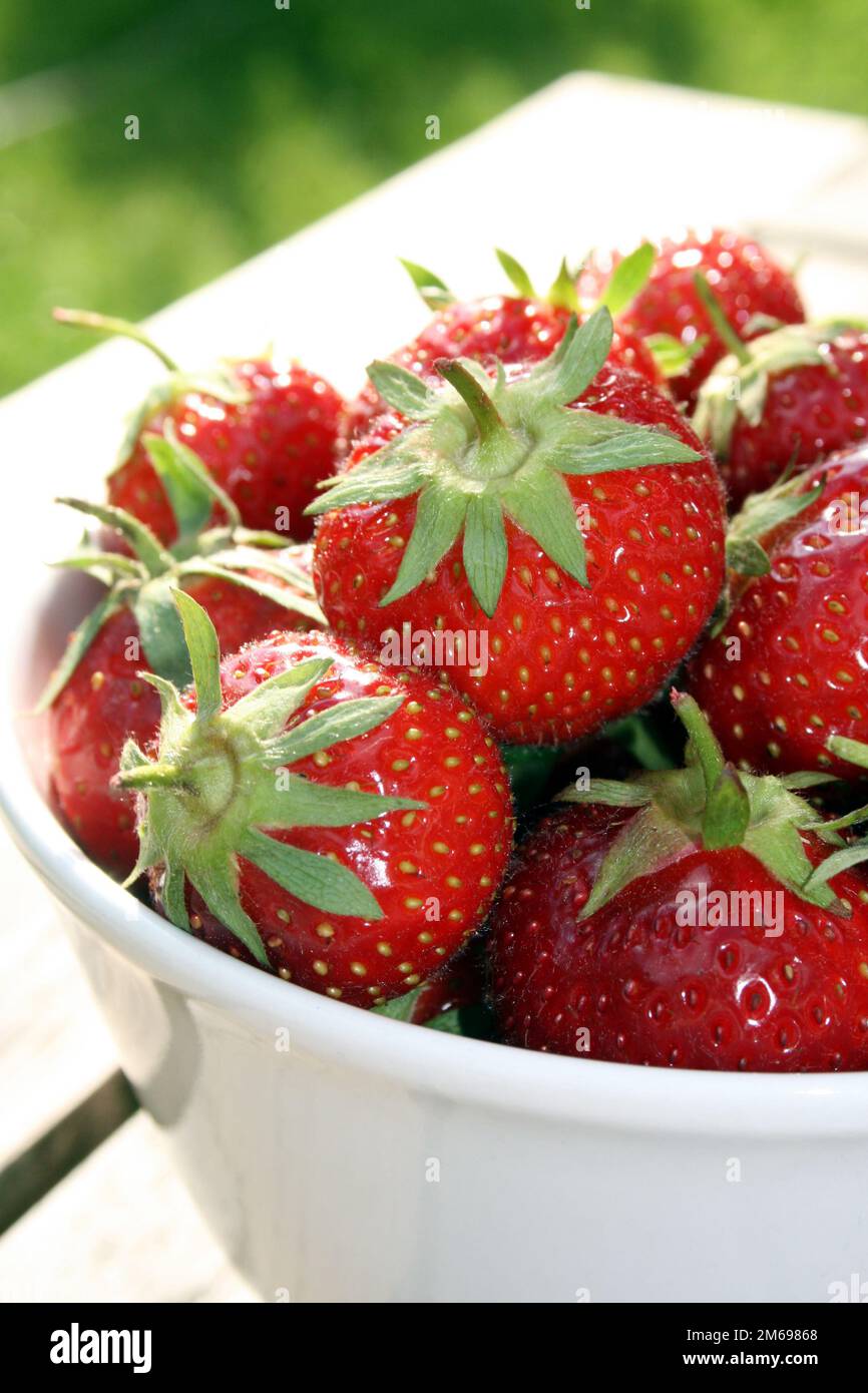 Strawberries strawberrys strawberry hi-res stock photography and images - Alamy