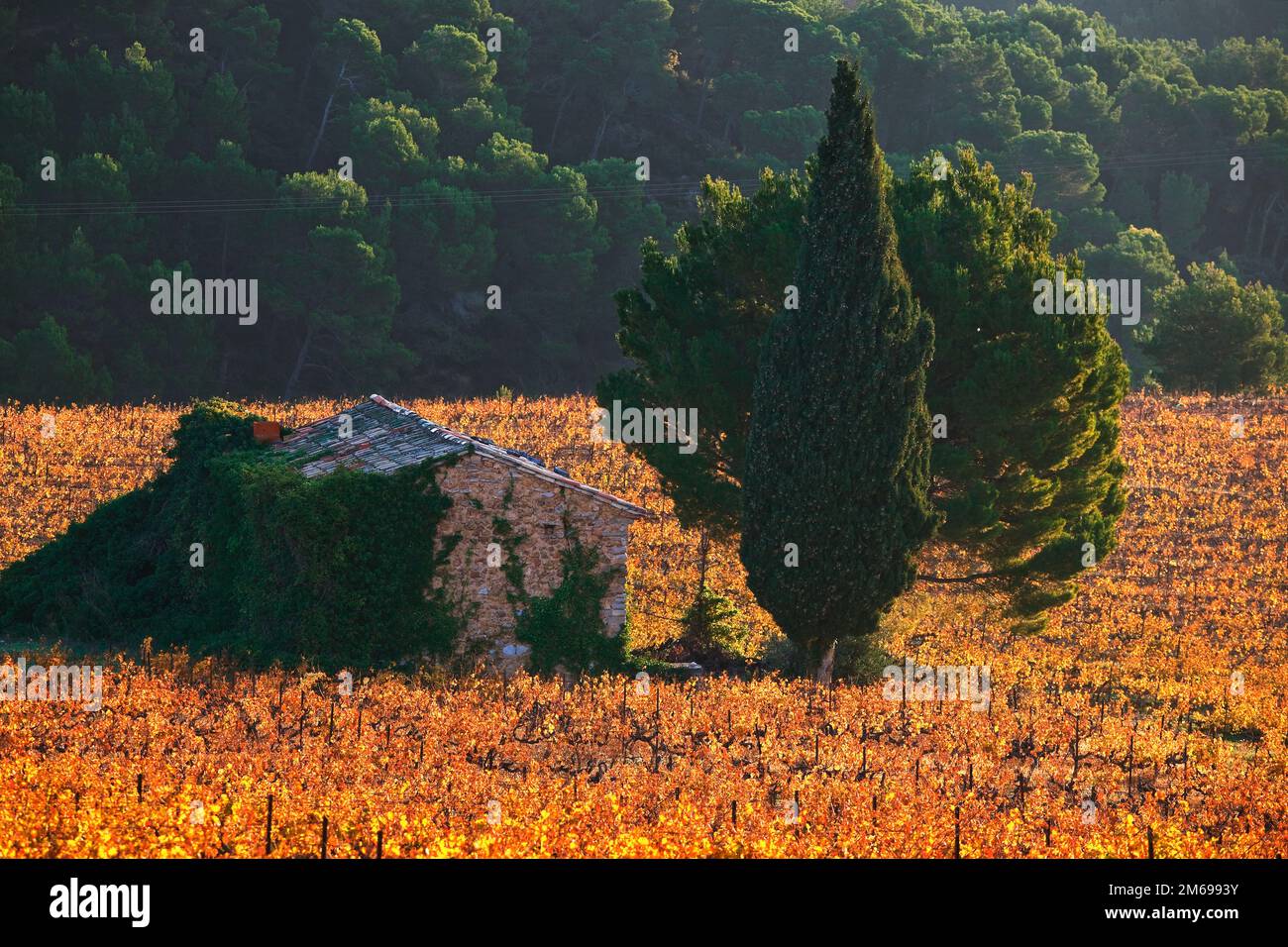 Wine hut hi-res stock photography and images - Alamy