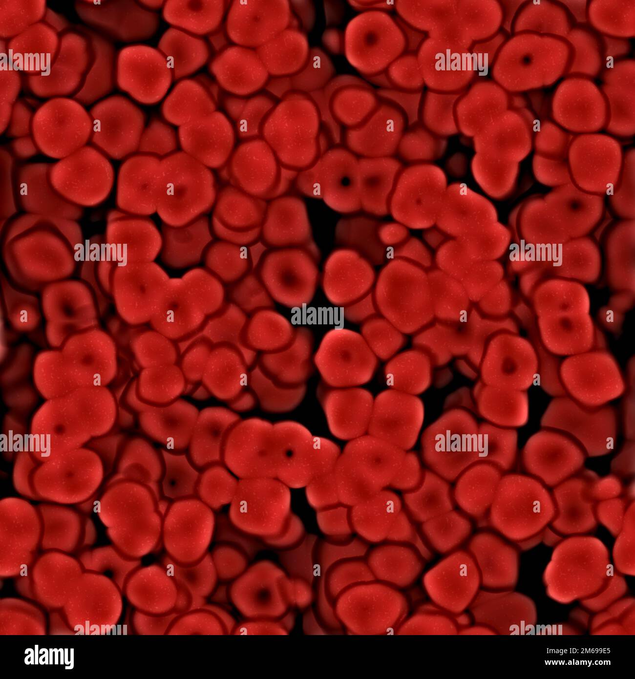 Red blood corpuscle hi-res stock photography and images - Alamy