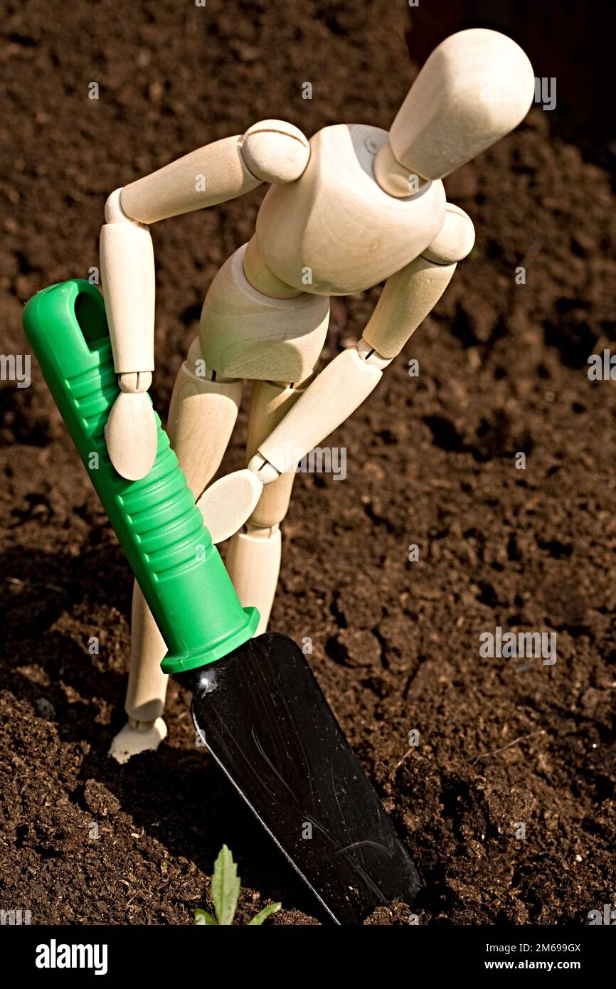 Person digging garden trowel hi-res stock photography and images - Alamy