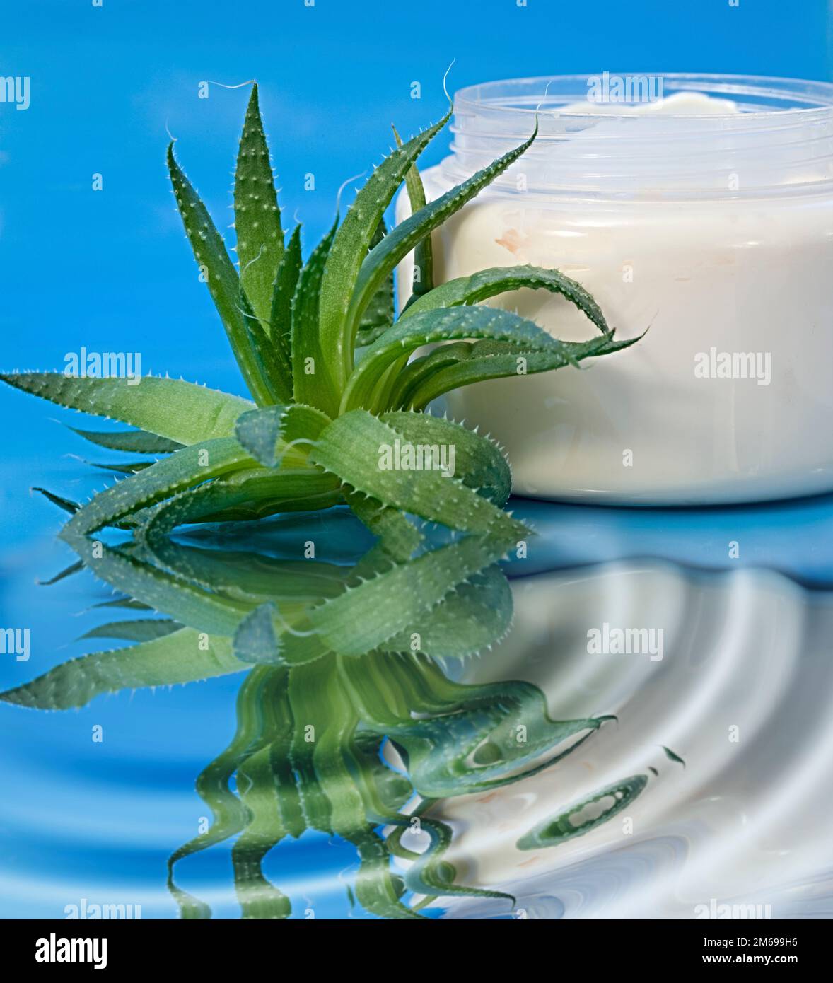 Aloe cream hi-res stock photography and images - Alamy