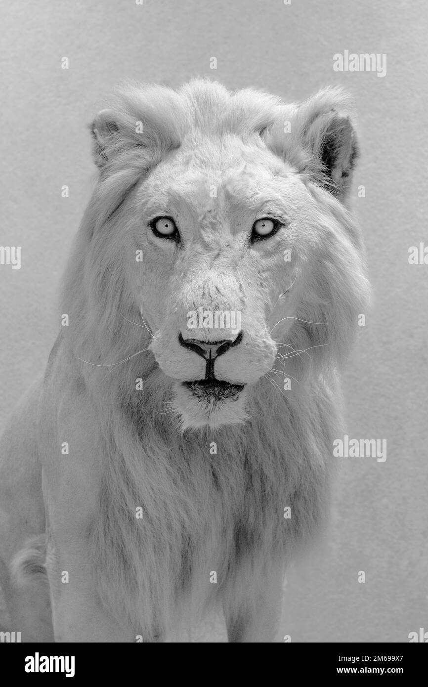 MUSE, Science Museum. A museum dedicated to nature, the mountains ...