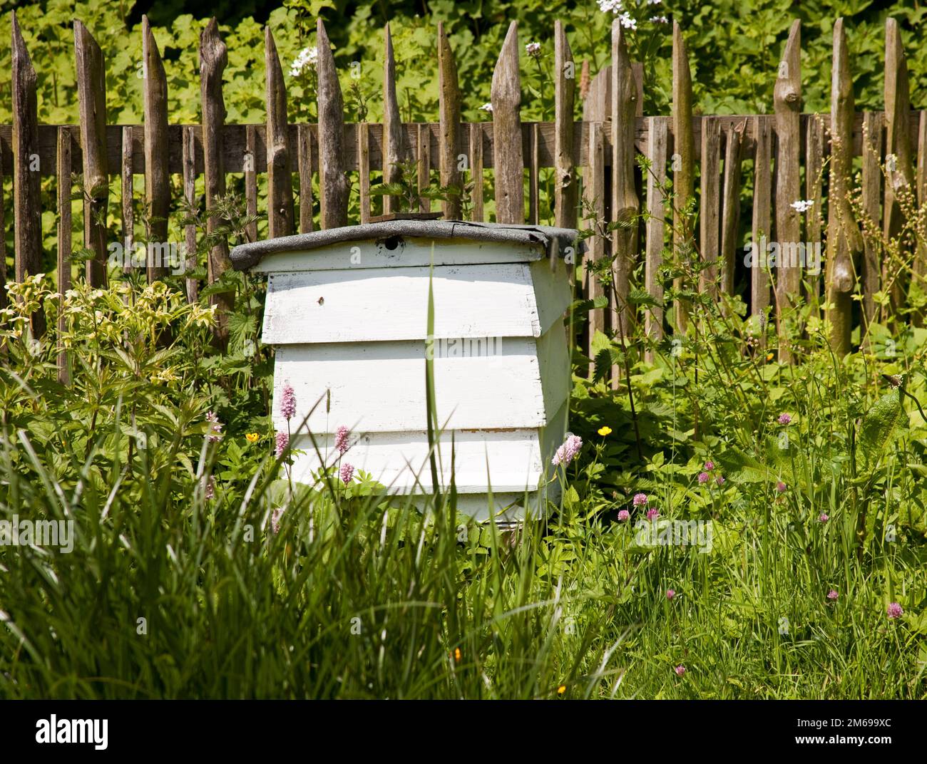 Beehive fence hi-res stock photography and images - Alamy