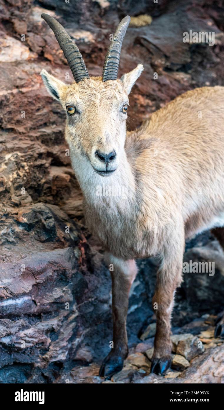 MUSE, Science Museum. A museum dedicated to nature, the mountains ...