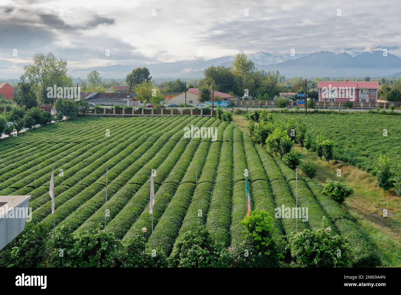 An aerial view of greenery field with buildings in Gilan Stock Photo ...