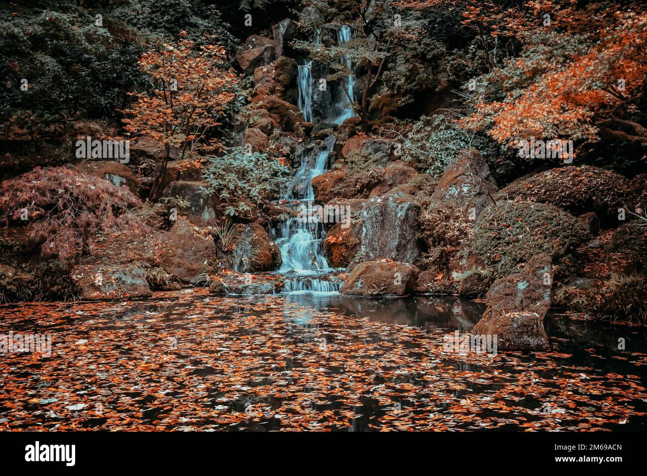 Portland japanese garden waterfall hi-res stock photography and images ...