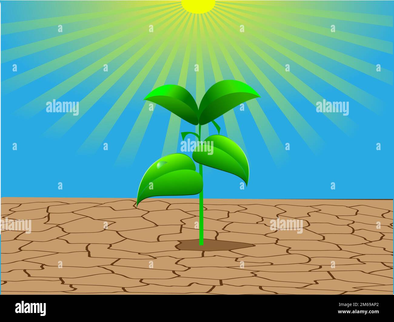 Ecological recovery hi-res stock photography and images - Alamy