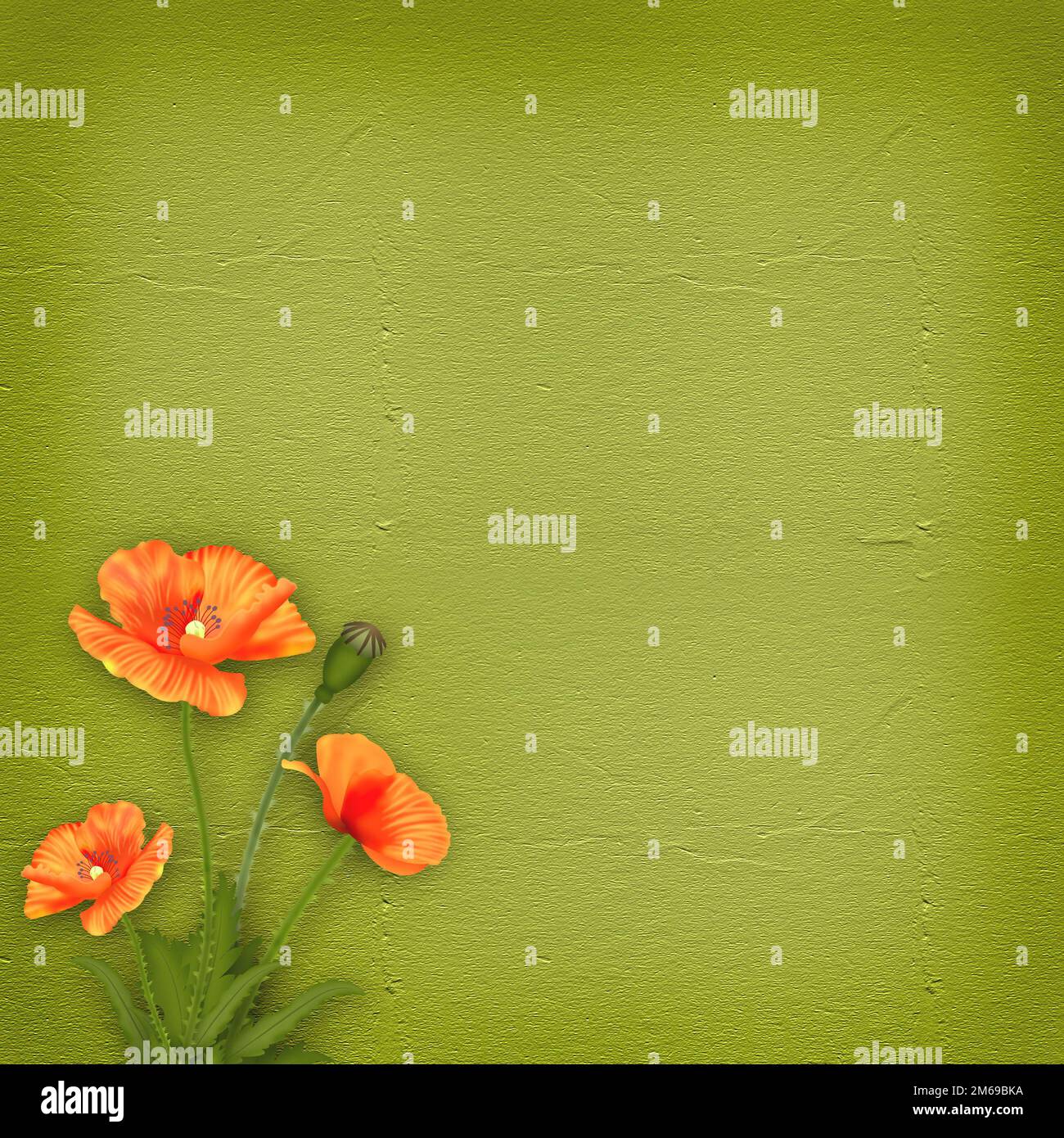 Poppies on the abstract background Stock Photo - Alamy