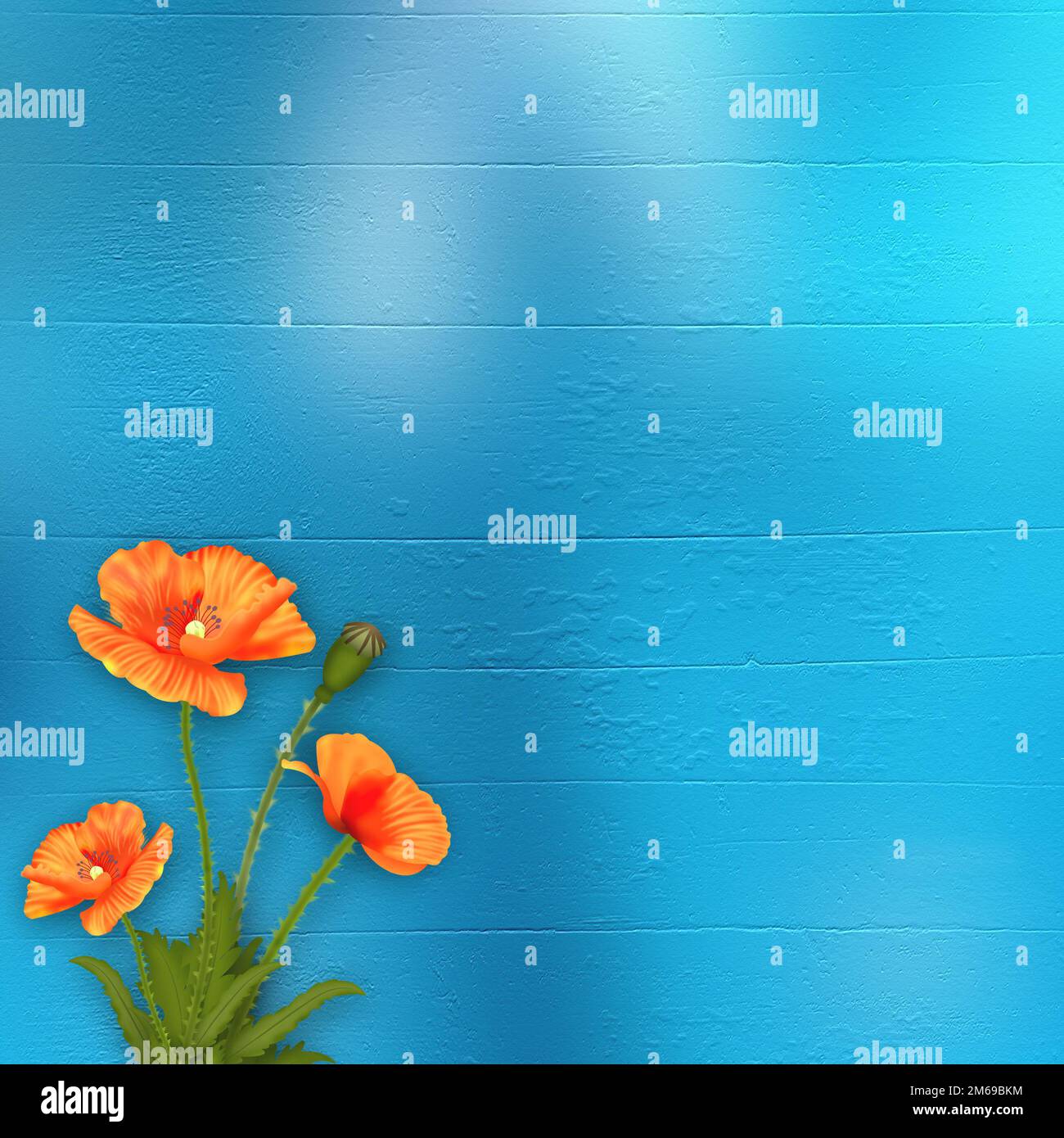 Poppies on the blue abstract background Stock Photo - Alamy