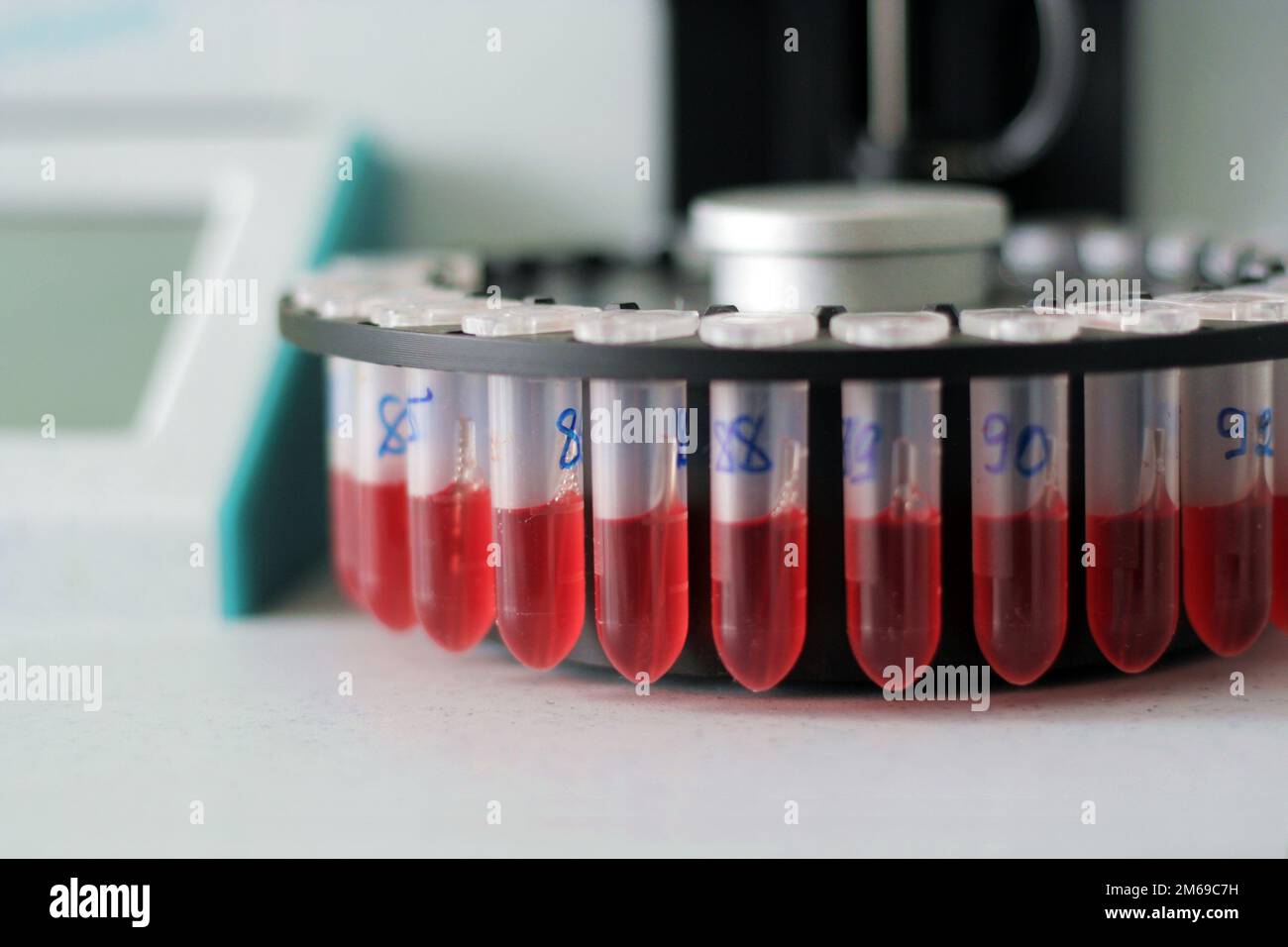 Medicinal test hi-res stock photography and images - Alamy