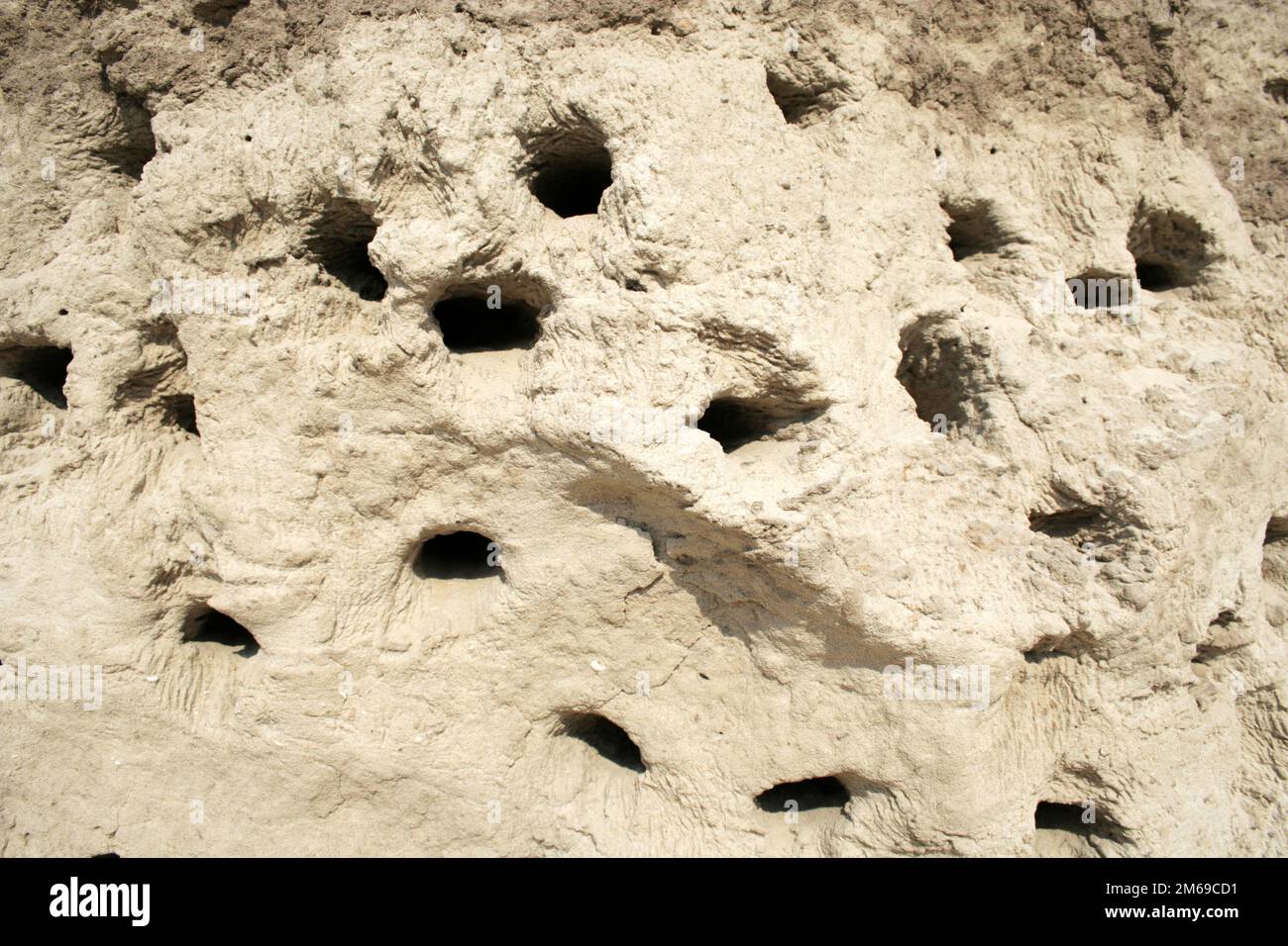 Bird nests texture hi-res stock photography and images - Alamy