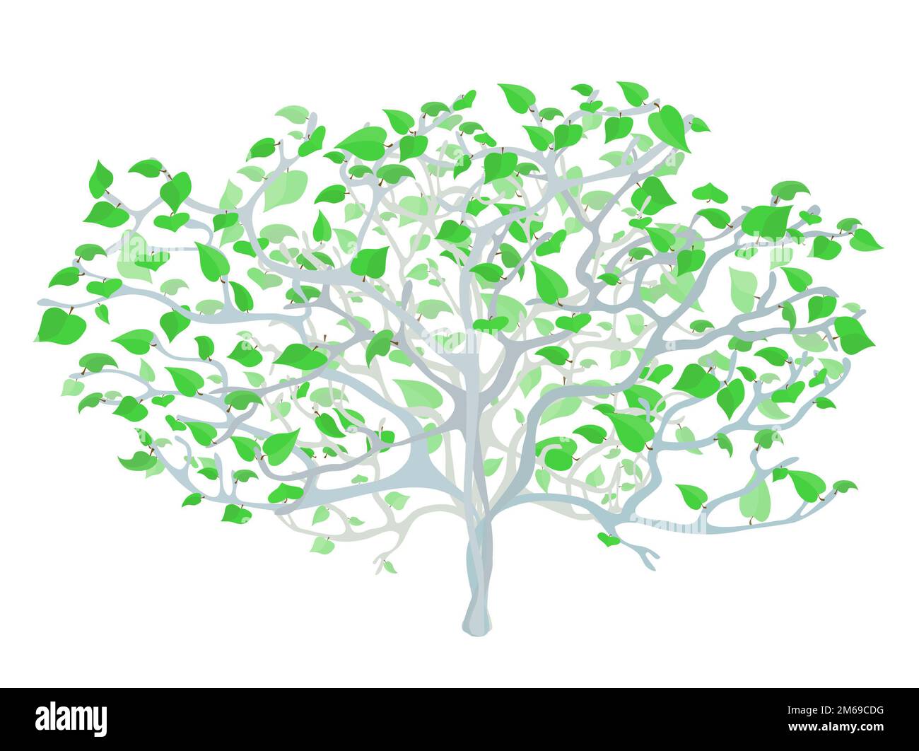 Graphic tree Cut Out Stock Images & Pictures - Alamy