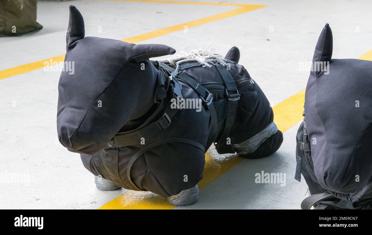 A mockup dog, used to train Military Working Dog Handlers-Paratroopers ...