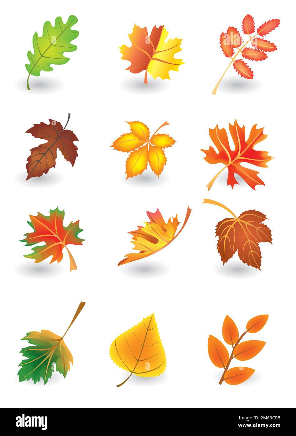 Vector leaves Stock Photo - Alamy