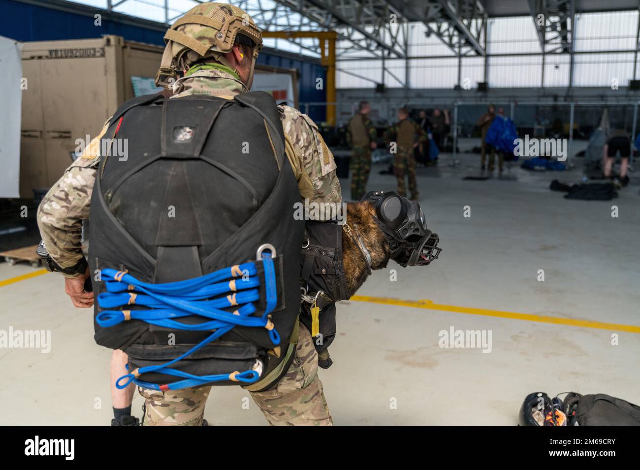 A Belgian Special Forces Paratrooper/Military Working Dog handler ...