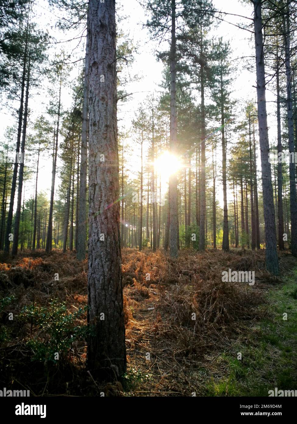 Beam exploration hi-res stock photography and images - Alamy