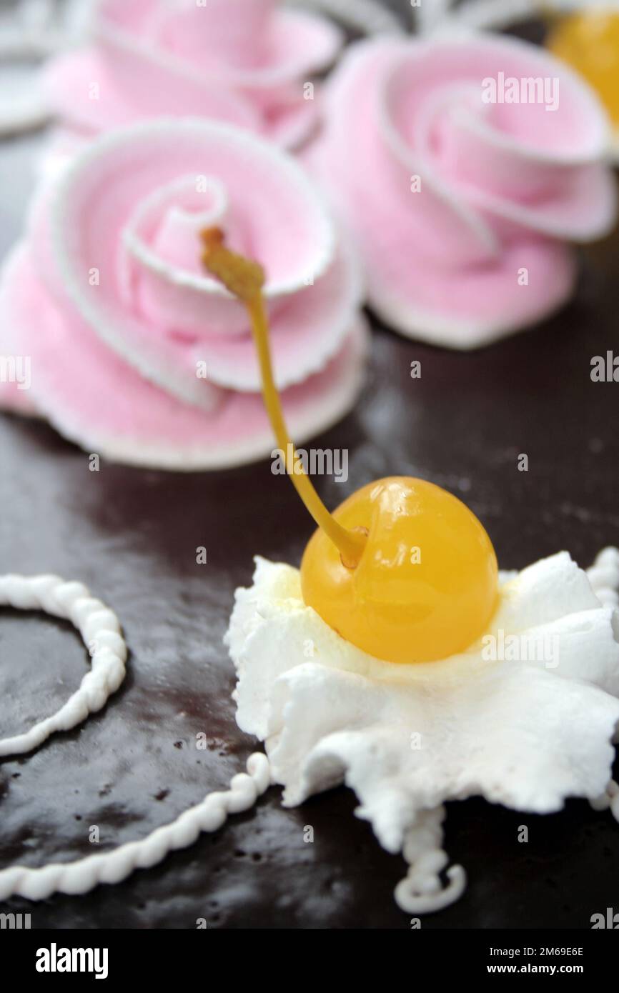 Sweet pink roses hi-res stock photography and images - Alamy