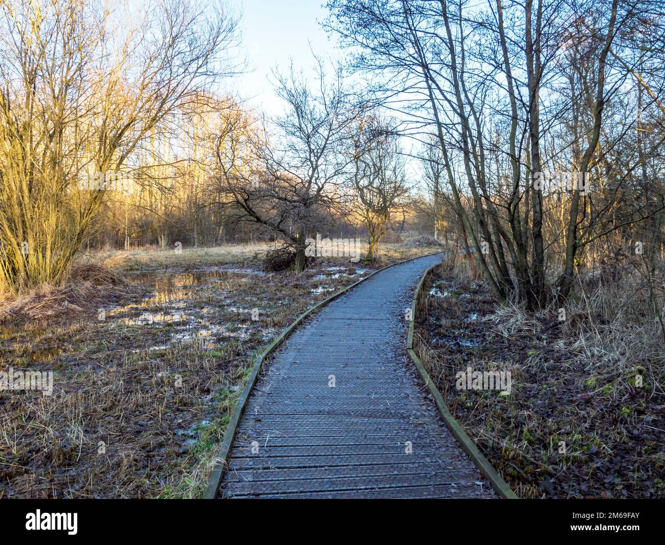 Footpath through Askham Bog in winter, York, England Stock Photo - Alamy