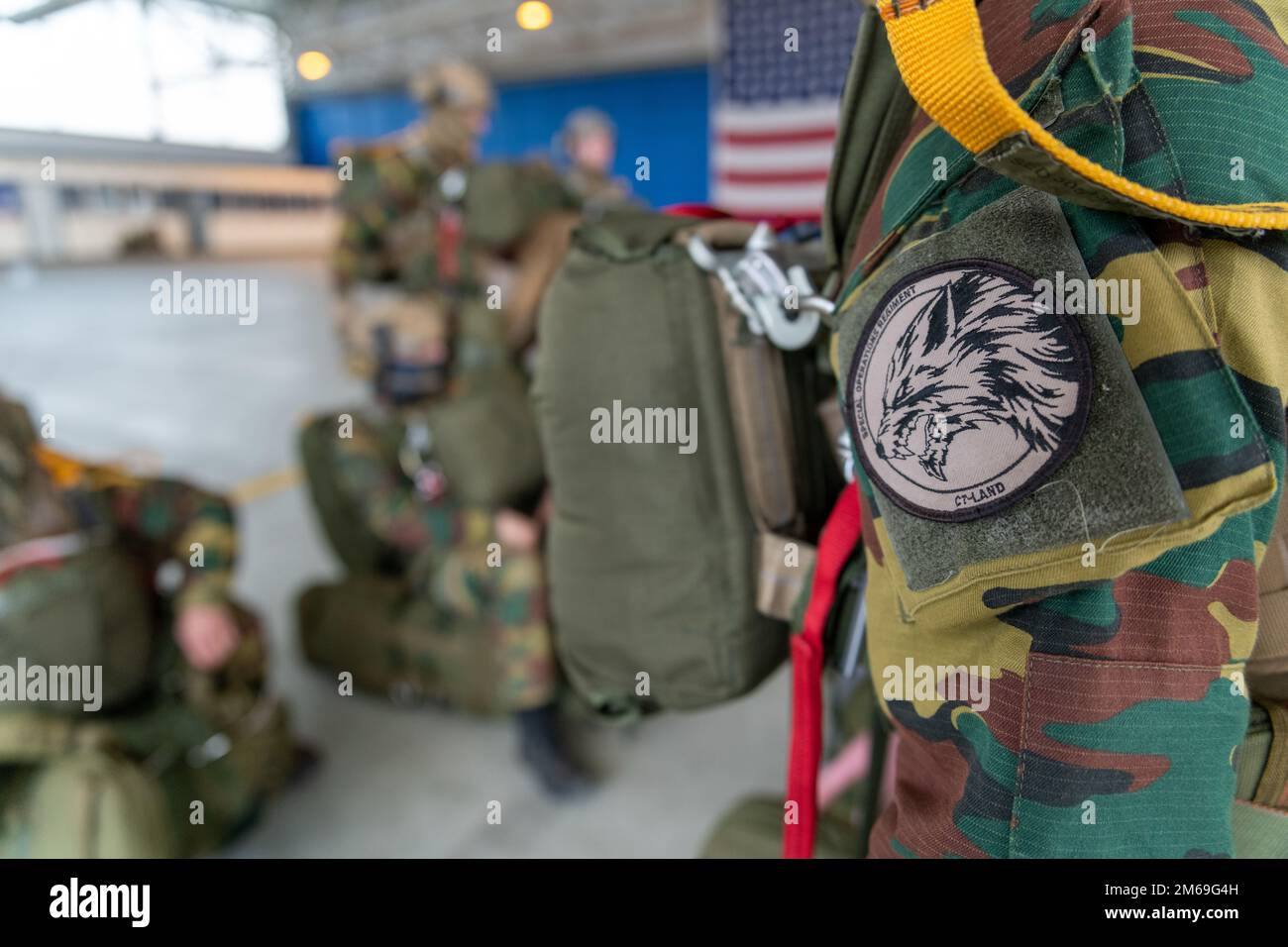 Close-up of the patch of the Special Operations Regiment as Belgian ...
