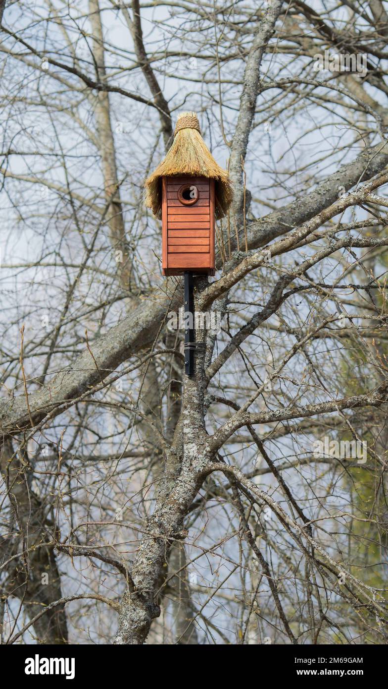 Nesting box. Wooden nest box handmade with thatched roof. Wooden house ...