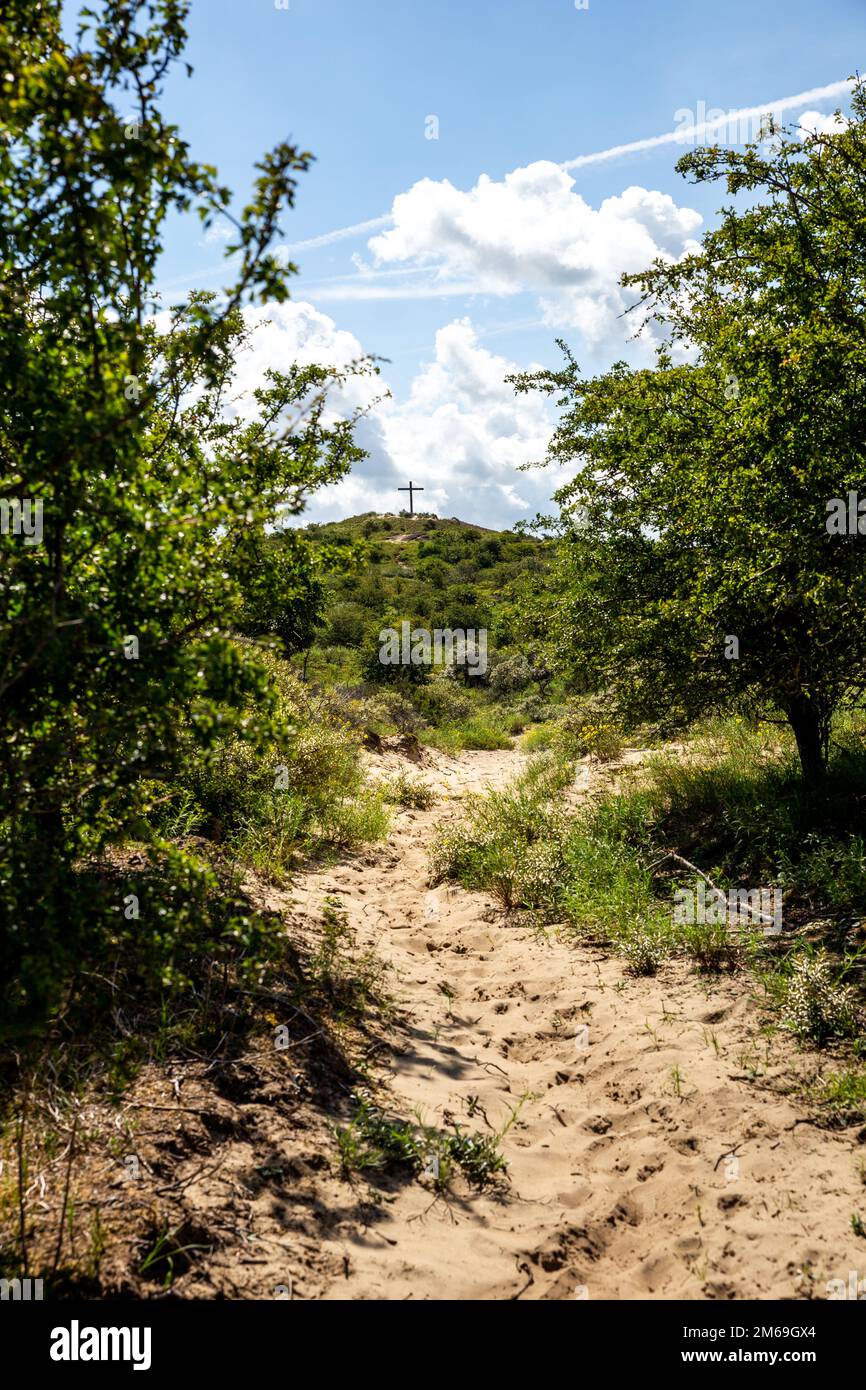 sand path directing towards hill with summit cross through green ...