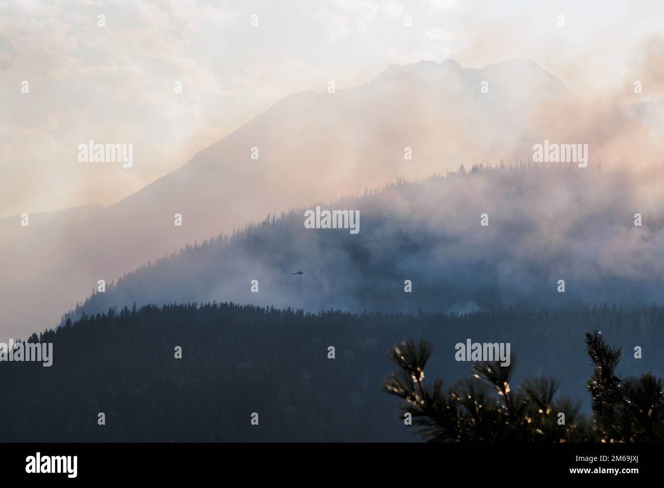 Photograph of a Canadian forest fire Stock Photo - Alamy