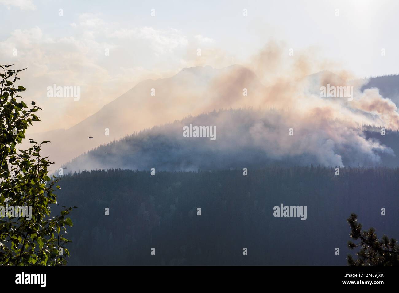 Photograph of a Canadian forest fire Stock Photo - Alamy