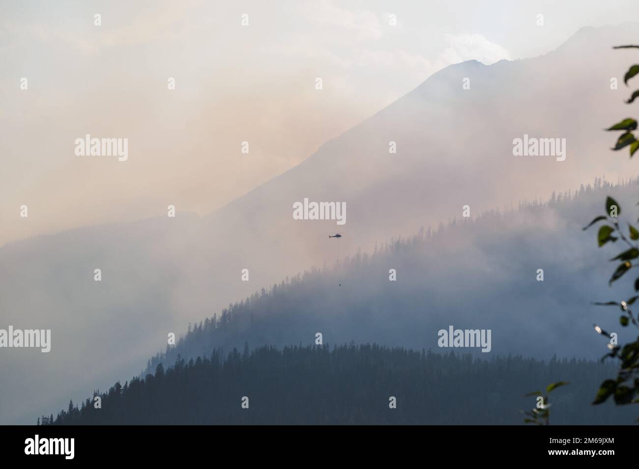 Photograph of a Canadian forest fire Stock Photo - Alamy