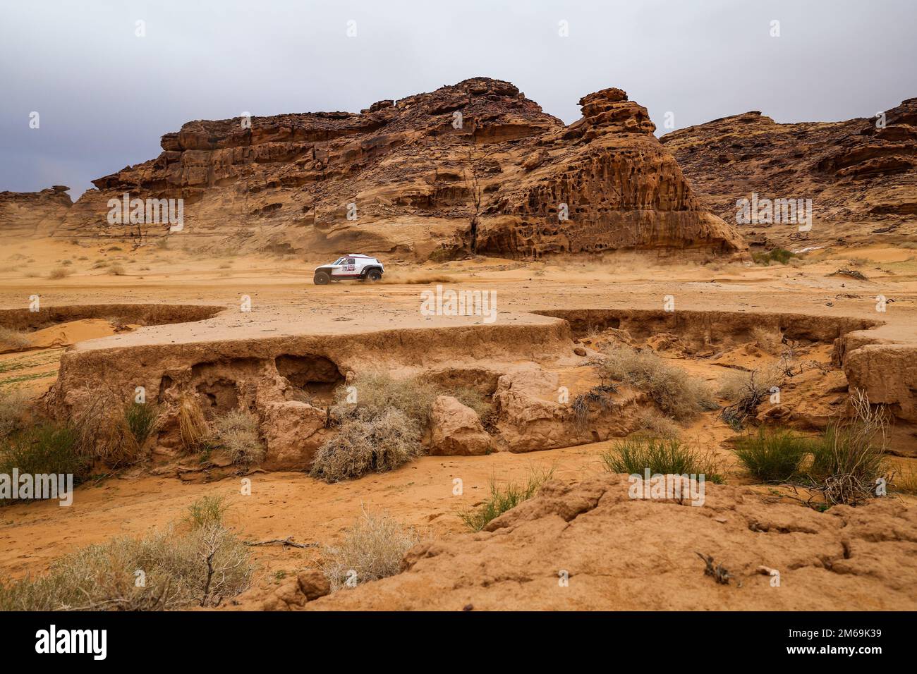 221 AL QASSIMI Sheikh Khalid (are), FLOENE Ola (nor), X-Raid Mini JCW ...