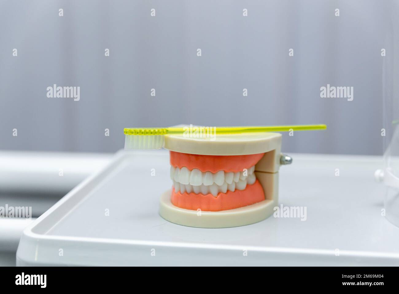 Clean teeth dental jaw model and yellow thooth brush on gray background ...