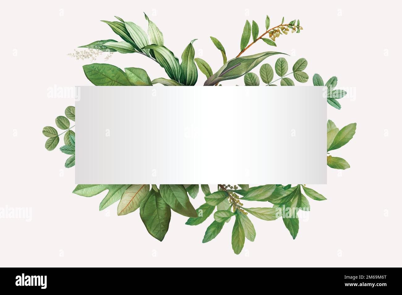 Tropical botanical banner design vector Stock Vector Image & Art - Alamy