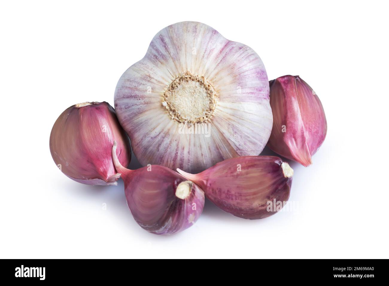 Garlic clove and bulb isolated on white background Stock Photo - Alamy