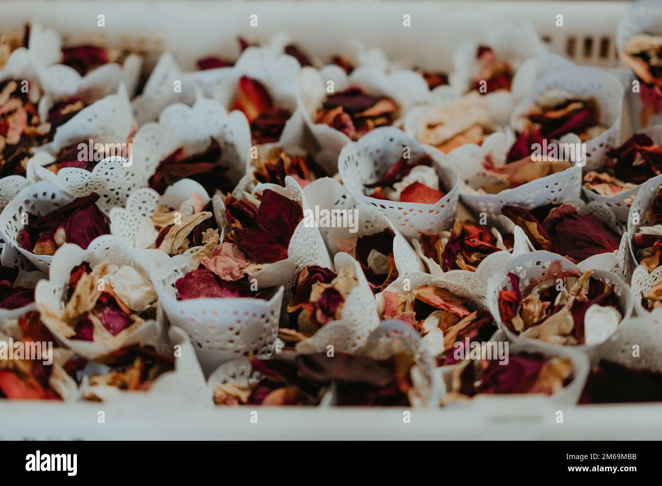 Separated petals hi-res stock photography and images - Alamy