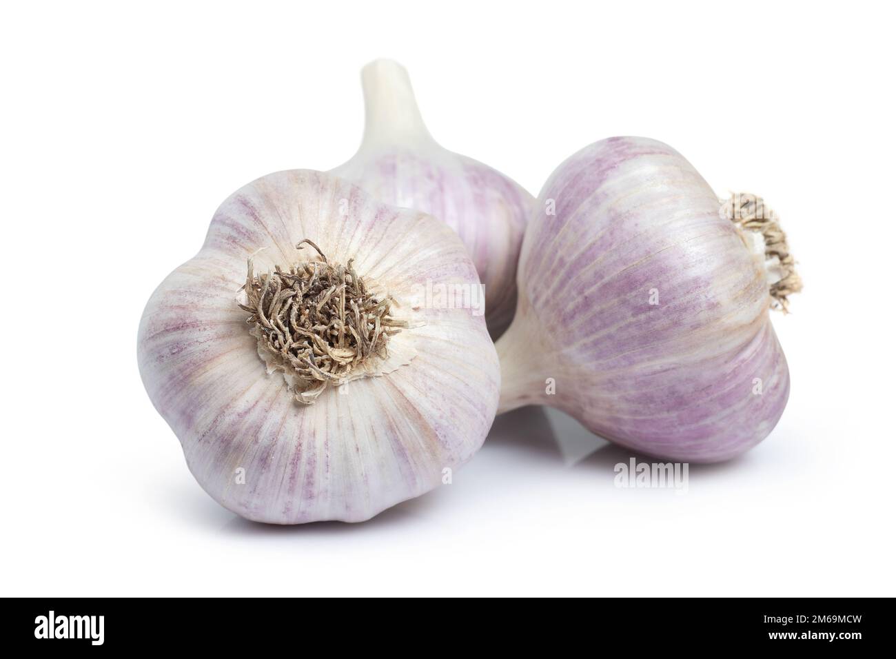 Raw whole garlic isolated on white background. Full depth of field ...