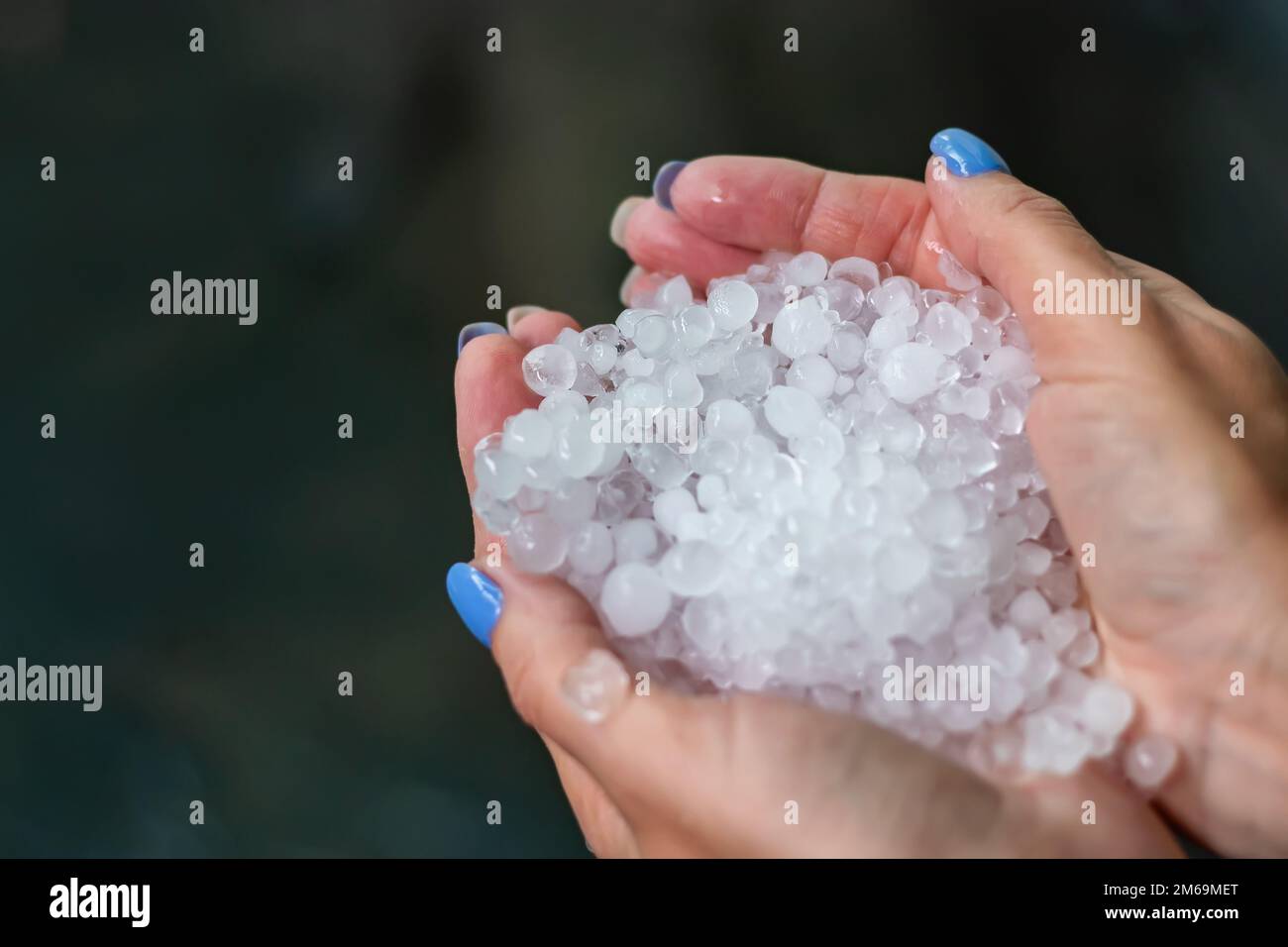 Holding freezing granulated hail ice crystals, grains in hands after ...