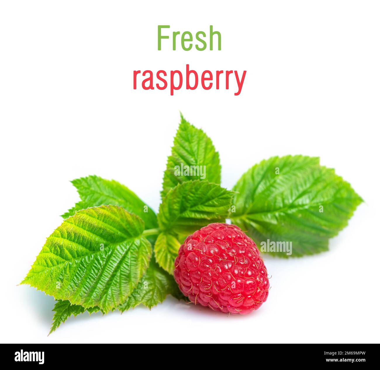 Raspberry with leaves. Raspberry isolated on white background Stock ...