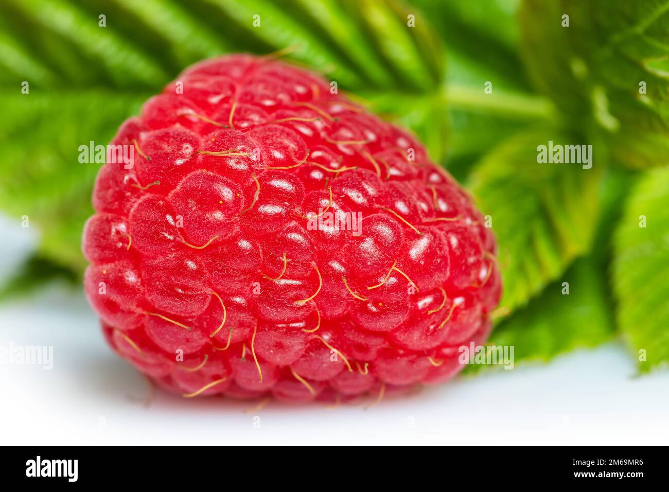 Raspberry with leaves. Raspberry isolated on white background Stock ...