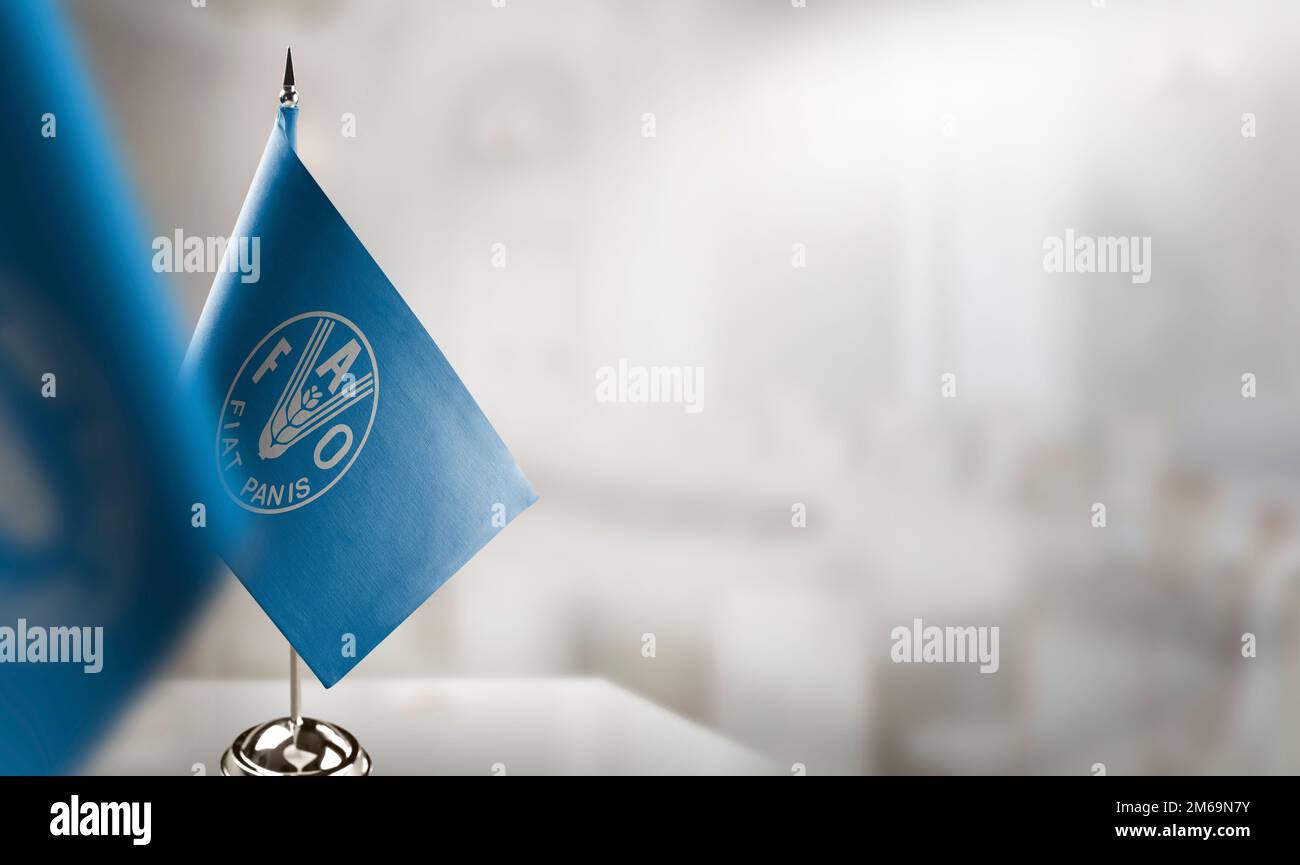 Small flags of the Food and agriculture organization on an abstract ...