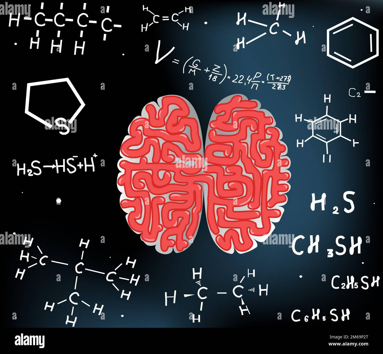 Brain science hi-res stock photography and images - Alamy