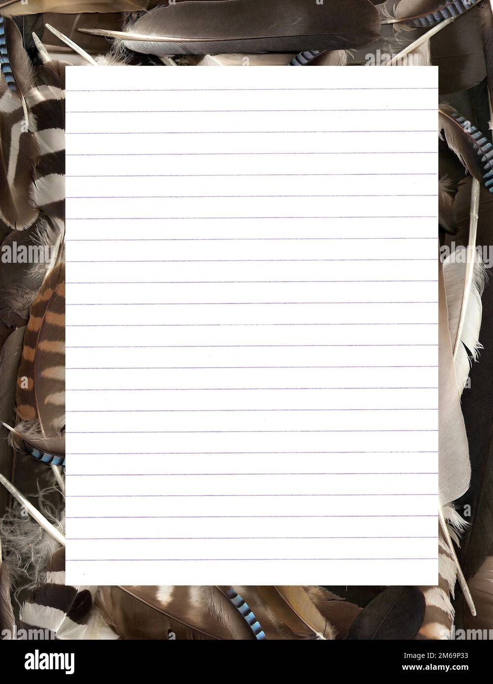 The bordered form for records Stock Photo - Alamy