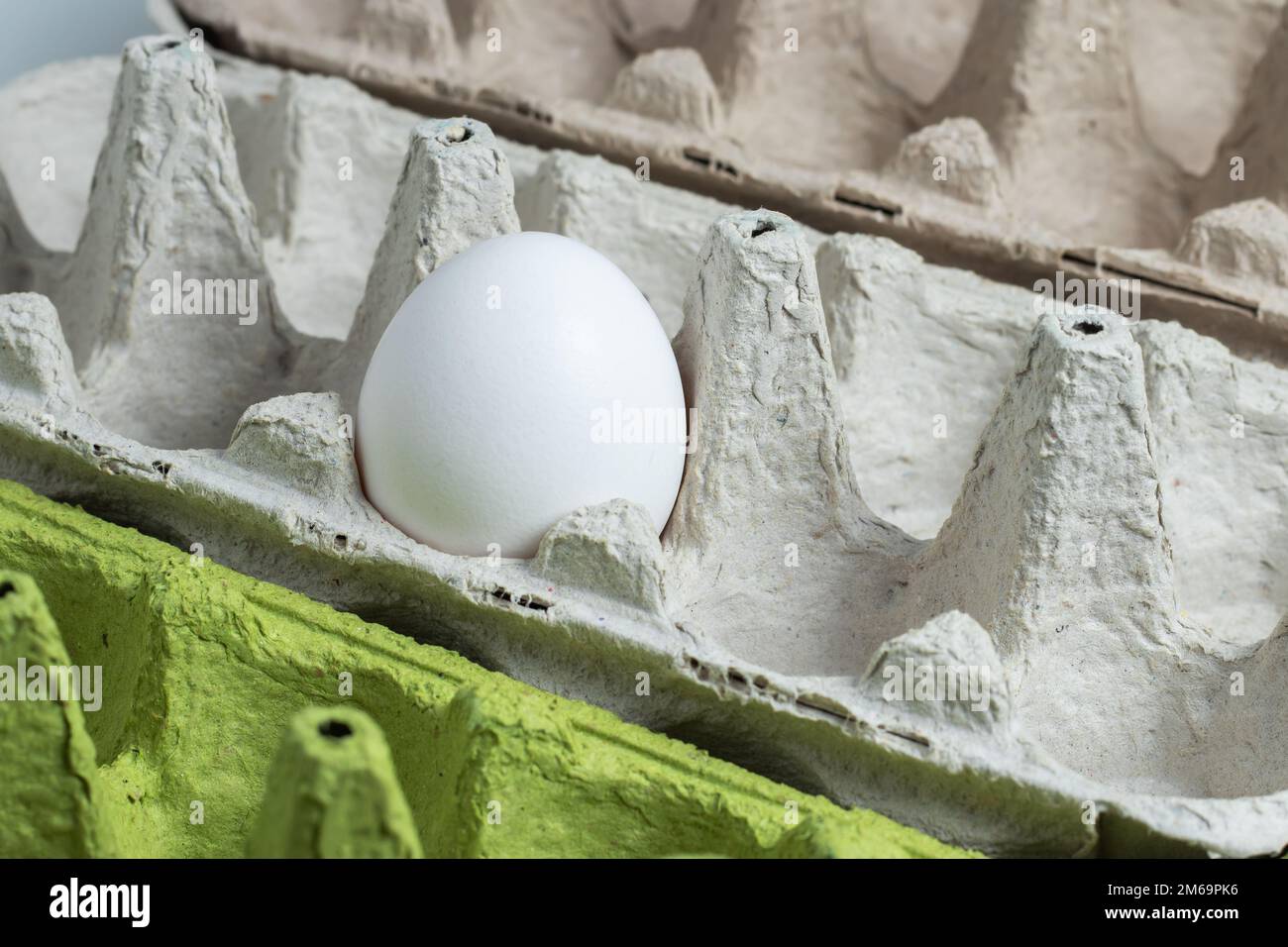 Single egg in paper egg tray close-up Stock Photo - Alamy