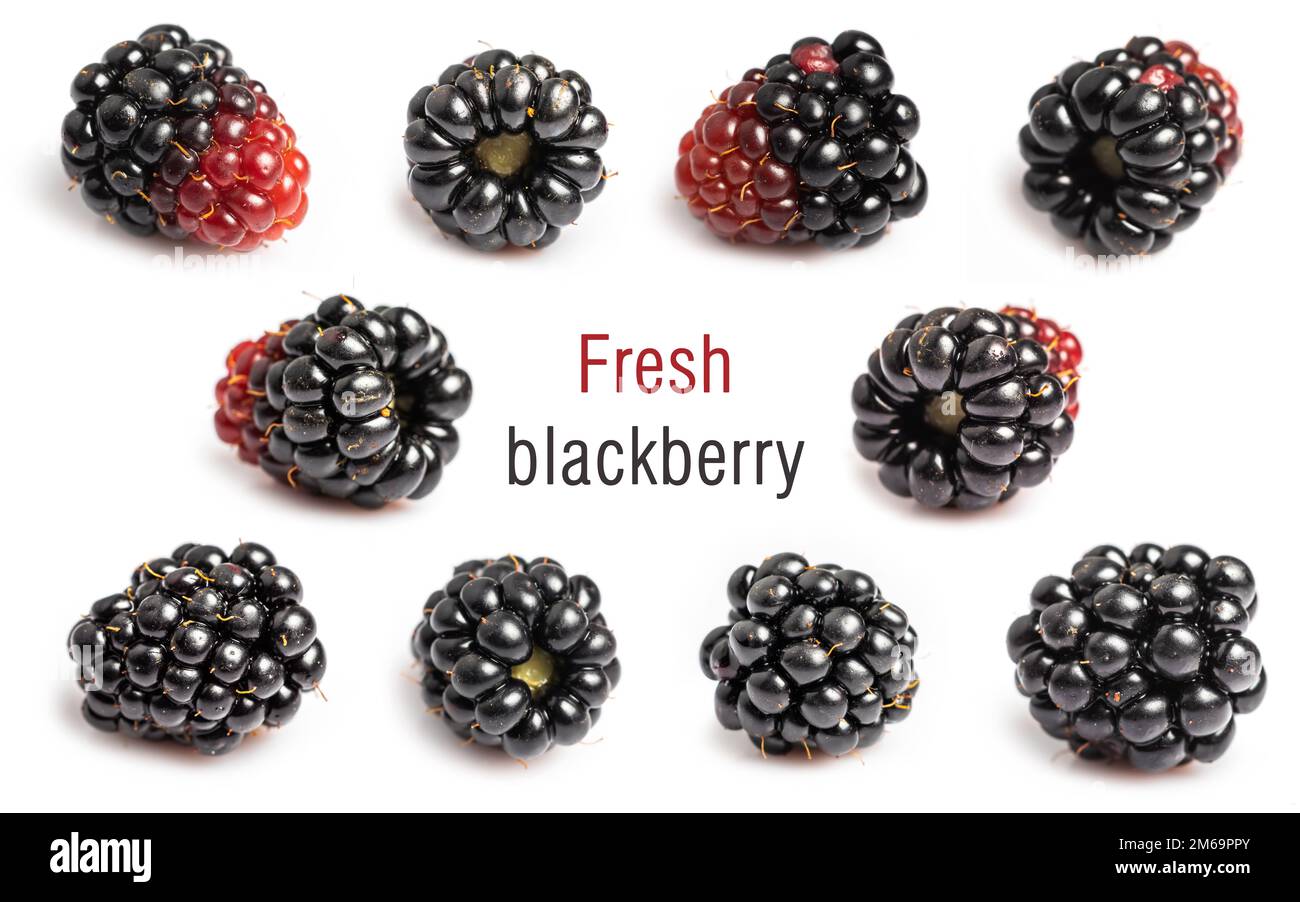 Collection of fresh blackberries. Isolated on white background Stock ...