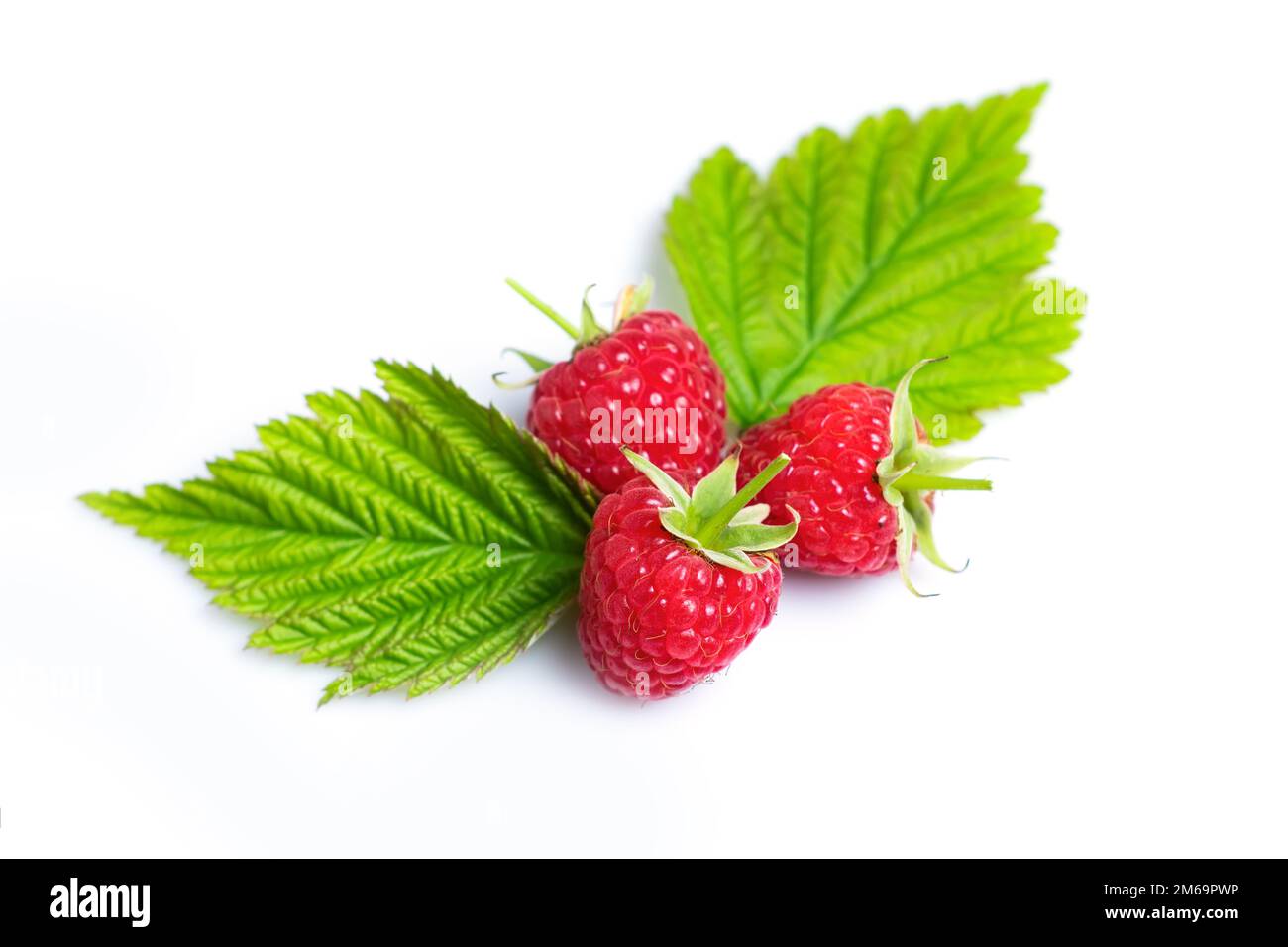 Raspberry with leaves. Raspberry isolated on white background Stock ...