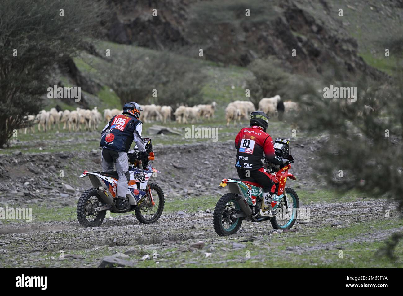 105 HART Morisson (USA), American Rally Originals, KTM, Moto, Original ...