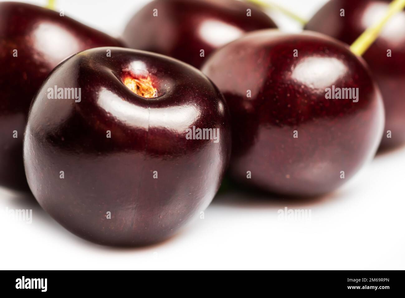 Amarelle background hi-res stock photography and images - Alamy