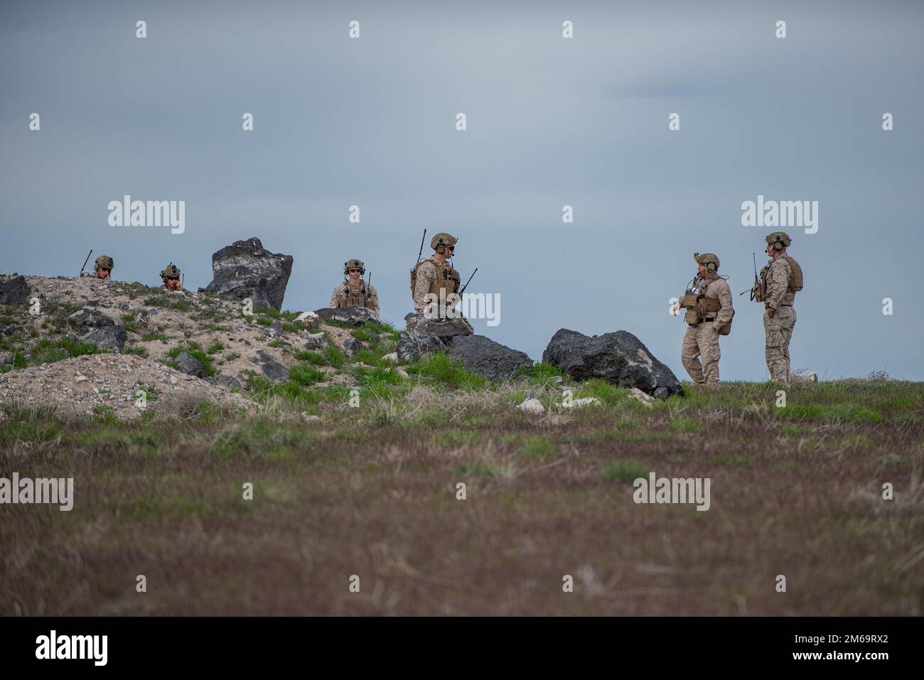 Joint Terminal Attack Controller and infantry Marines assigned to the ...