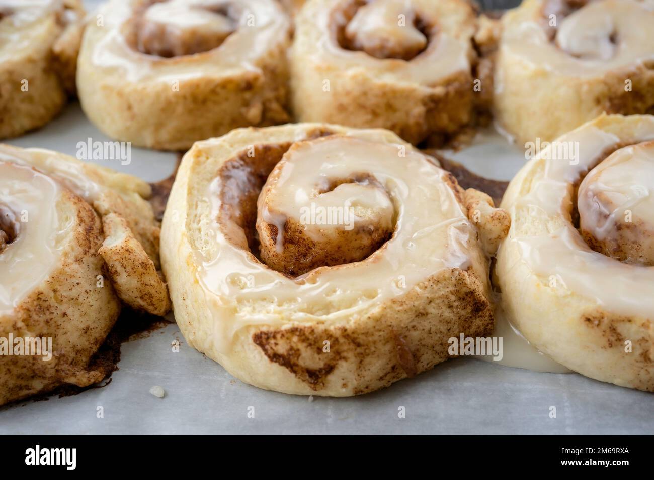 Homemade cinnamon buns fresh and frosted. On a parchement paper lined ...