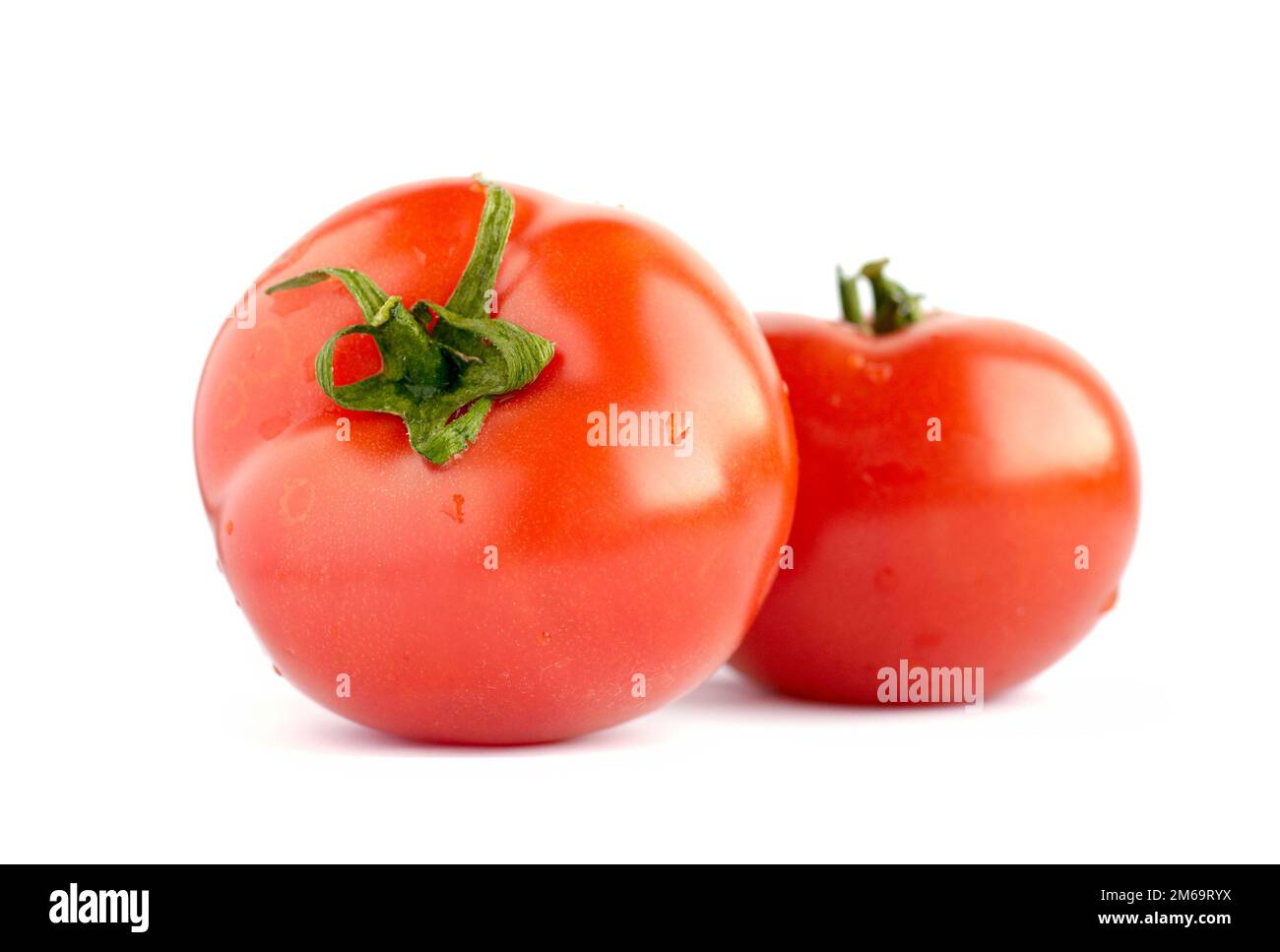 Light green color background Cut Out Stock Images & Pictures - Alamy