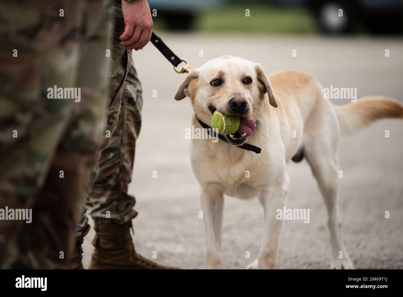 Antonio goodwin hi-res stock photography and images - Alamy